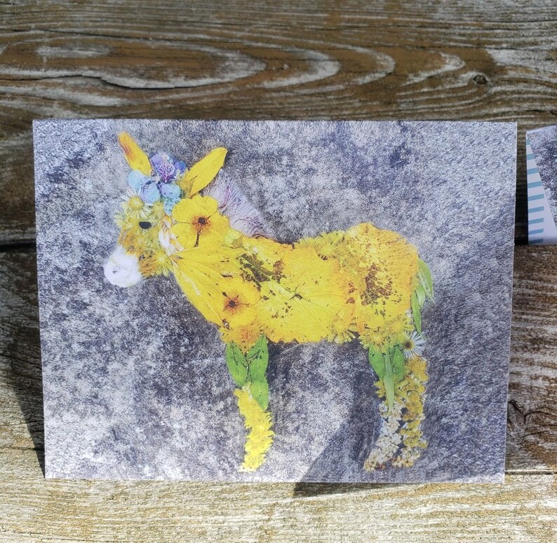Note Cards Flowers Donkey Art Flower Wall Donkeys Donkey - Etsy