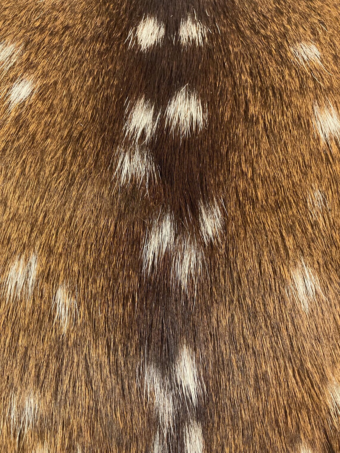 SWS Natural Axis Deer Hair on Hide Throw Pillow With Suede Leather Back ...