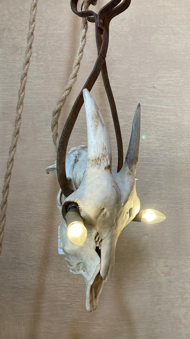 2022 Victor Romo Original Goat Skull Pendant Light #276 - Etsy