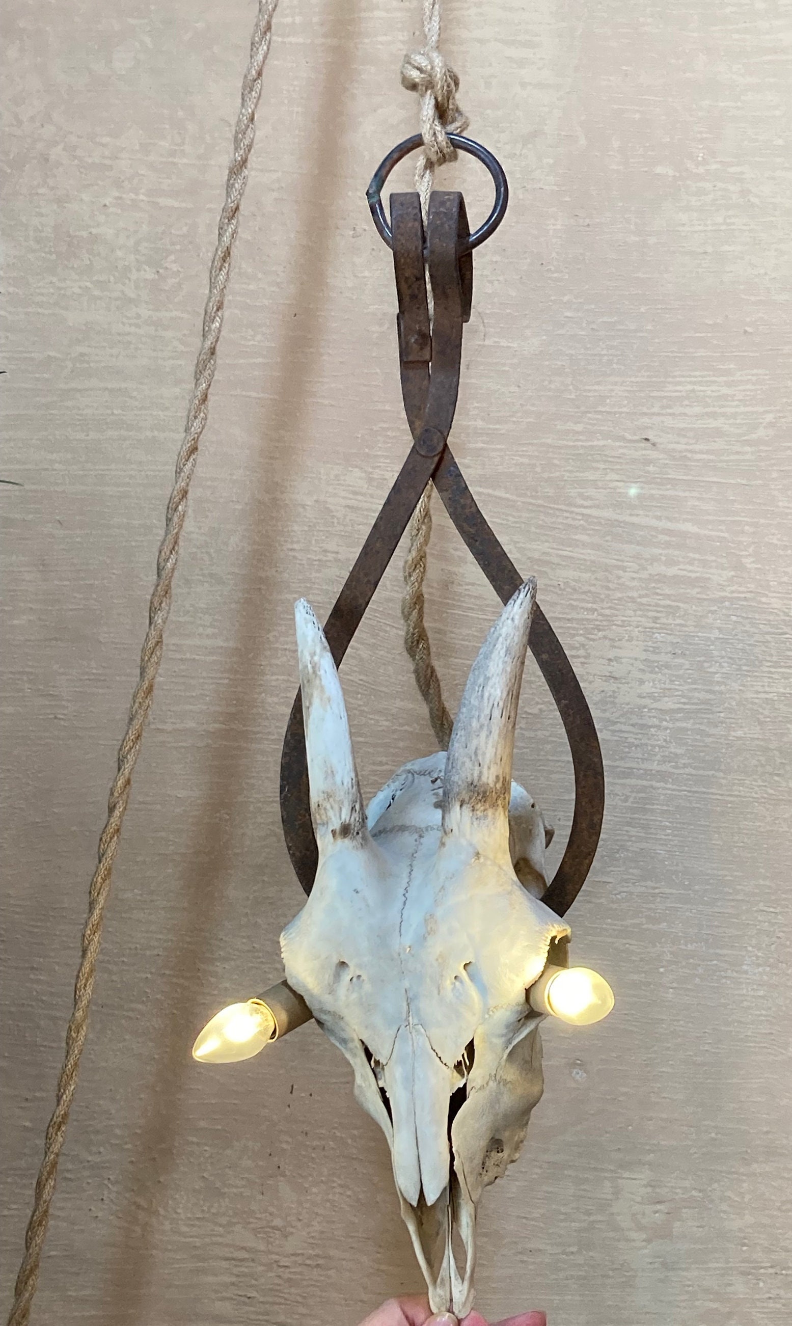 2022 Victor Romo Original Goat Skull Pendant Light #276 - Etsy