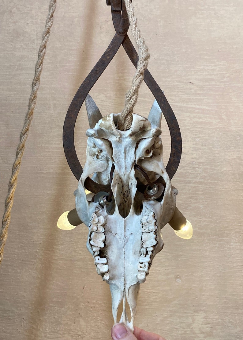 2022 Victor Romo Original Goat Skull Pendant Light #276 - Etsy