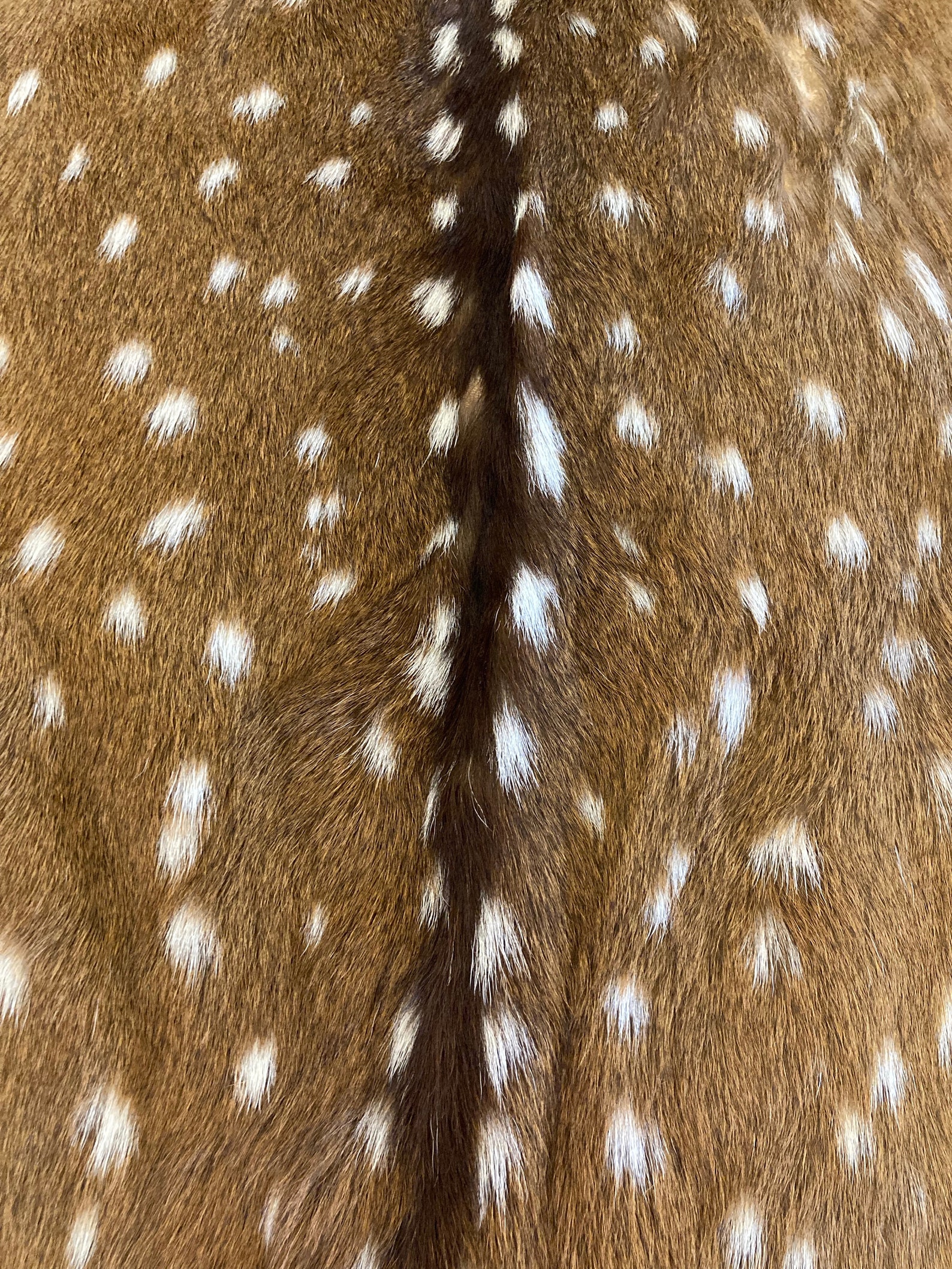 Genuine Axis Deer Hide Second Grade Naturally Sourced 280-G - Etsy