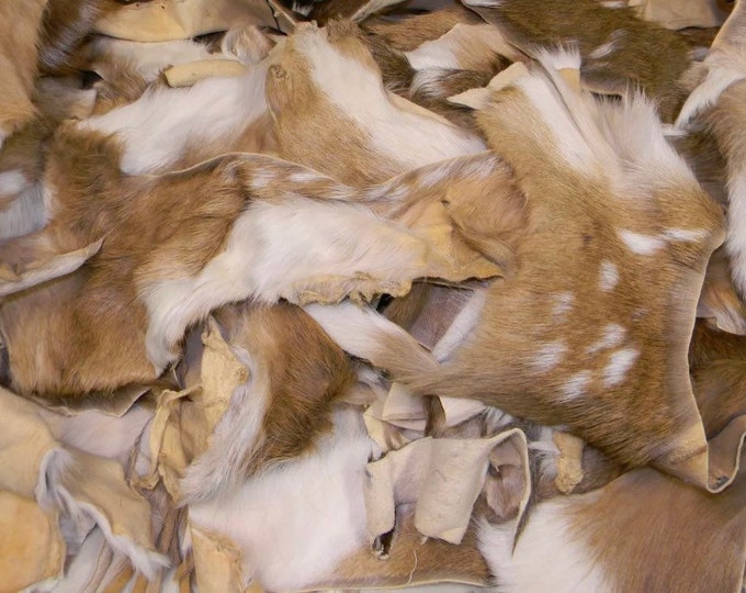 Axis Deer Hide Scraps, Leather Crafts, Hair Fly Tying, Brushes, Jewelry ...
