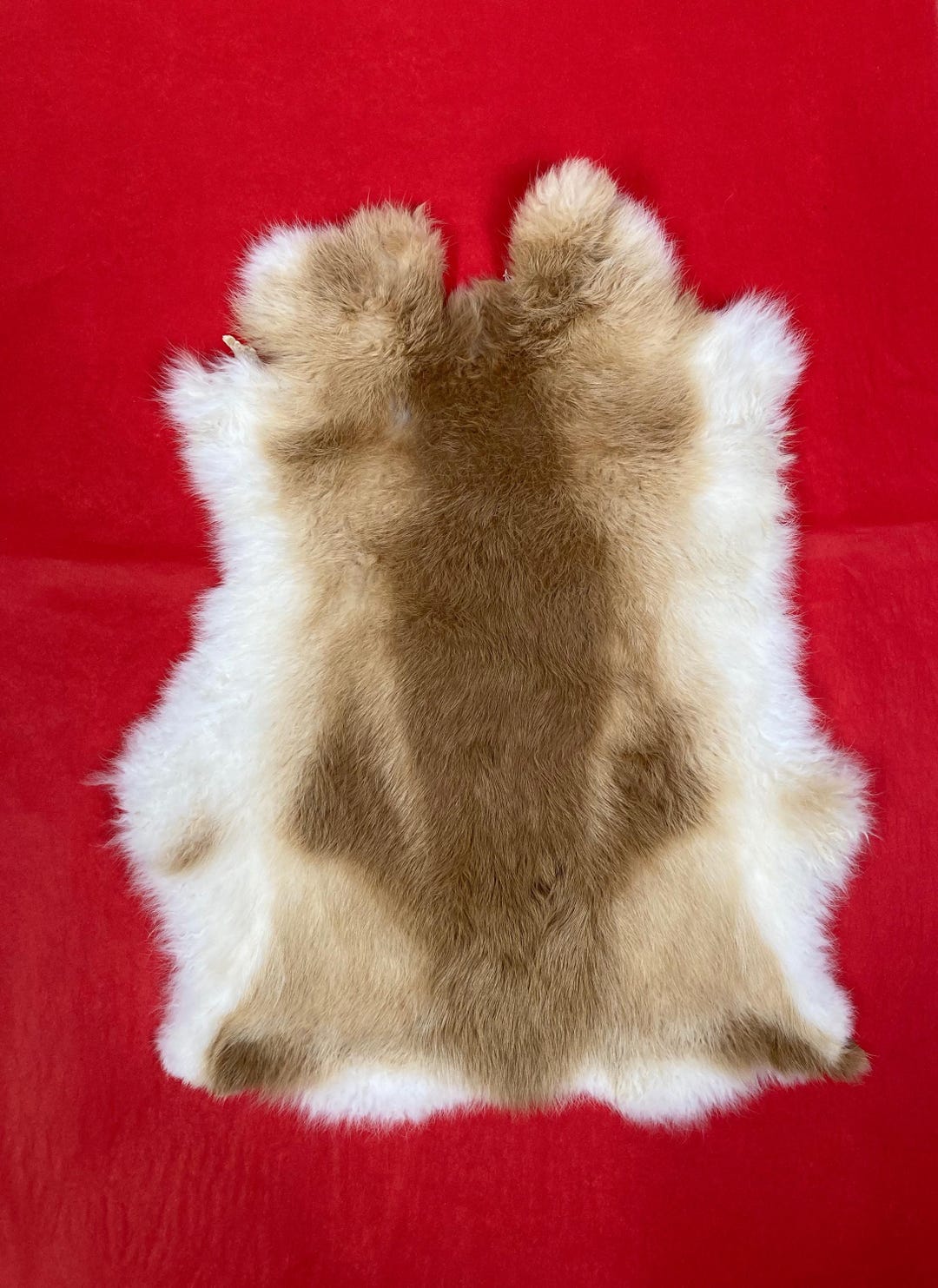 Genuine Rabbit Pelt Natural Light Brown - Etsy