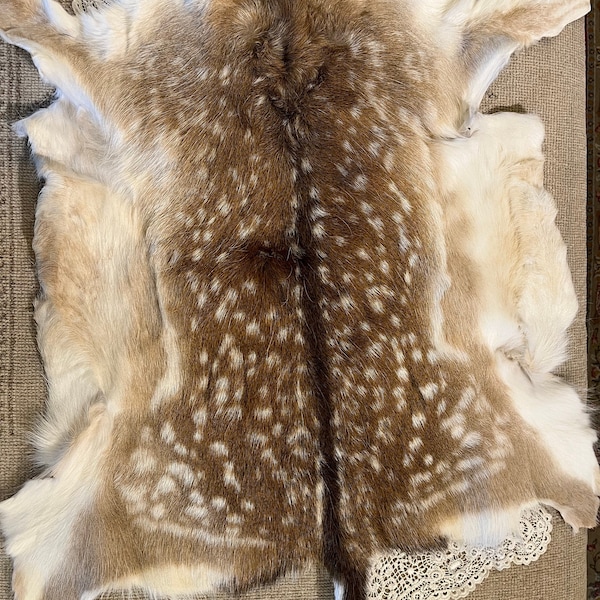 Deer Hide - Etsy