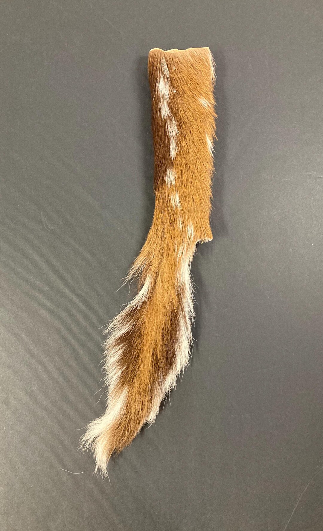 Vintage Custom Made Axis Deer Tail Ponytail Wrap With Metal Snap ...