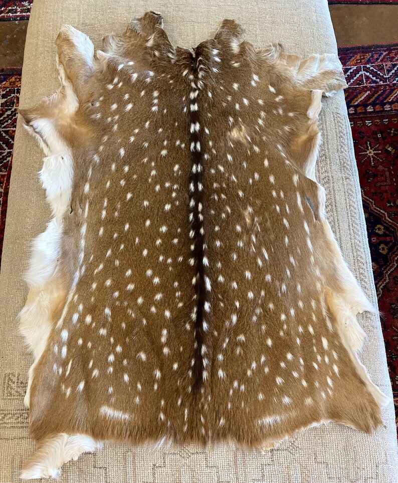 Genuine Axis Deer Hide Second Grade Naturally Sourced 280-G - Etsy