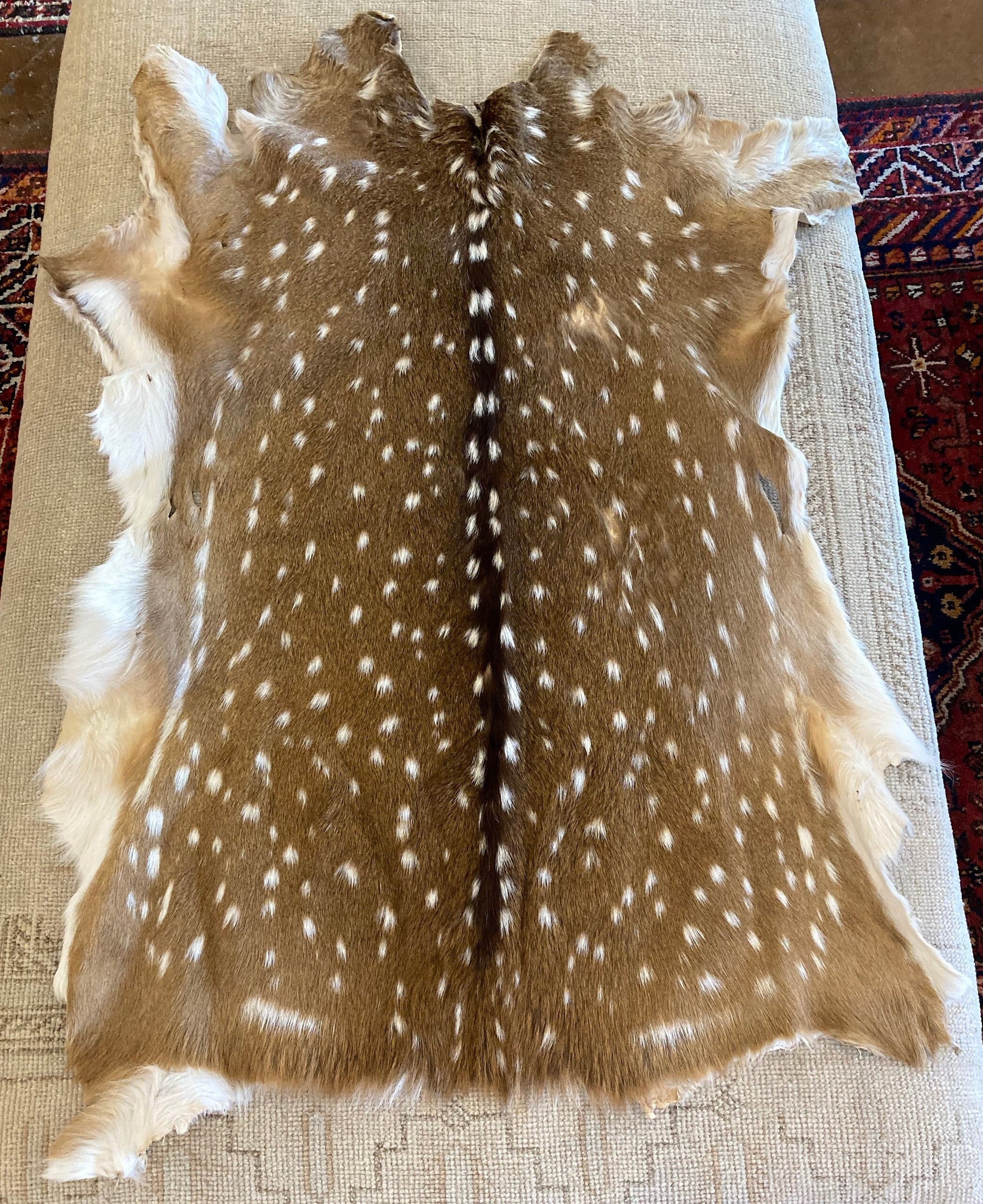 Genuine Axis Deer Hide Second Grade Naturally Sourced 280-G - Etsy