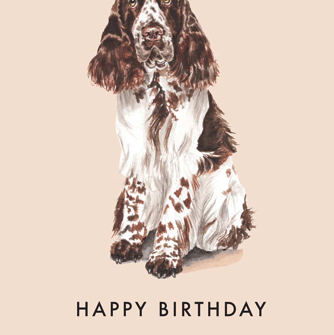 Springer Spaniel 'happy Birthday' Greeting Card - Etsy