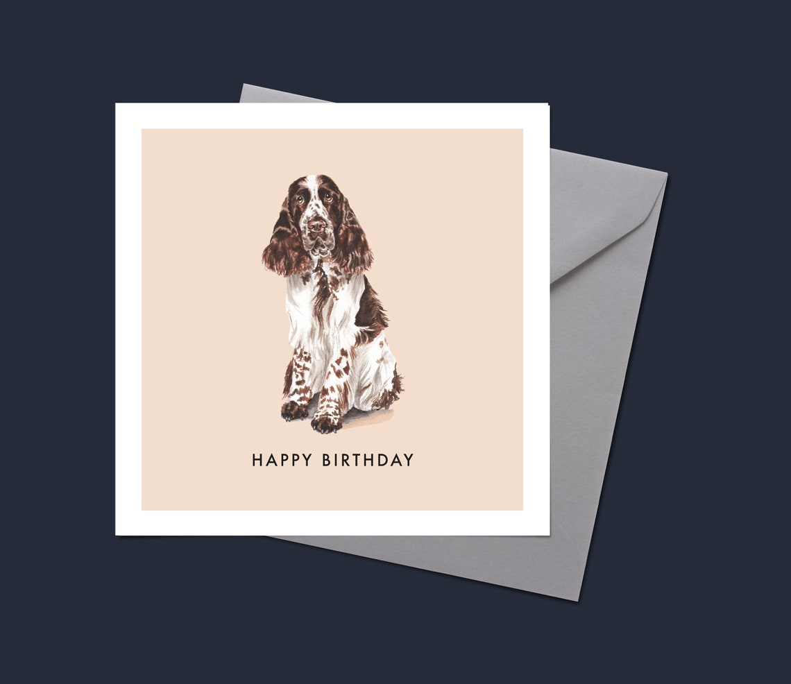 Springer Spaniel 'happy Birthday' Greeting Card - Etsy