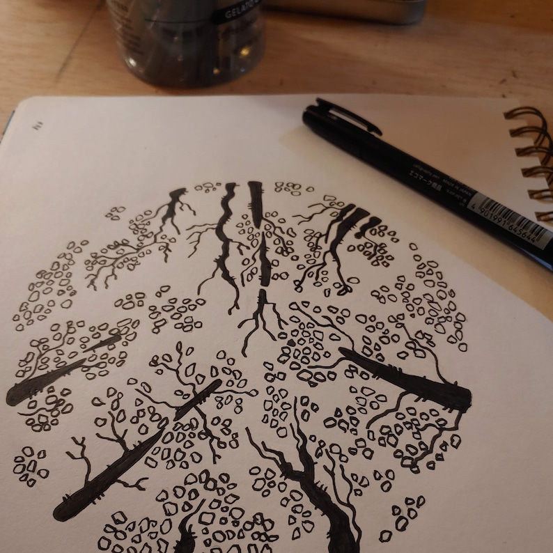 Colorado Aspen Tree - Hand Drawn Coaster Art - Set of (4) - Etsy