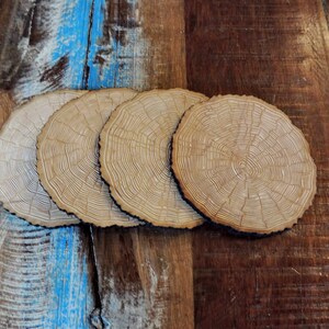 Tree Ring Maple - Coaster Set of (4) - Etsy