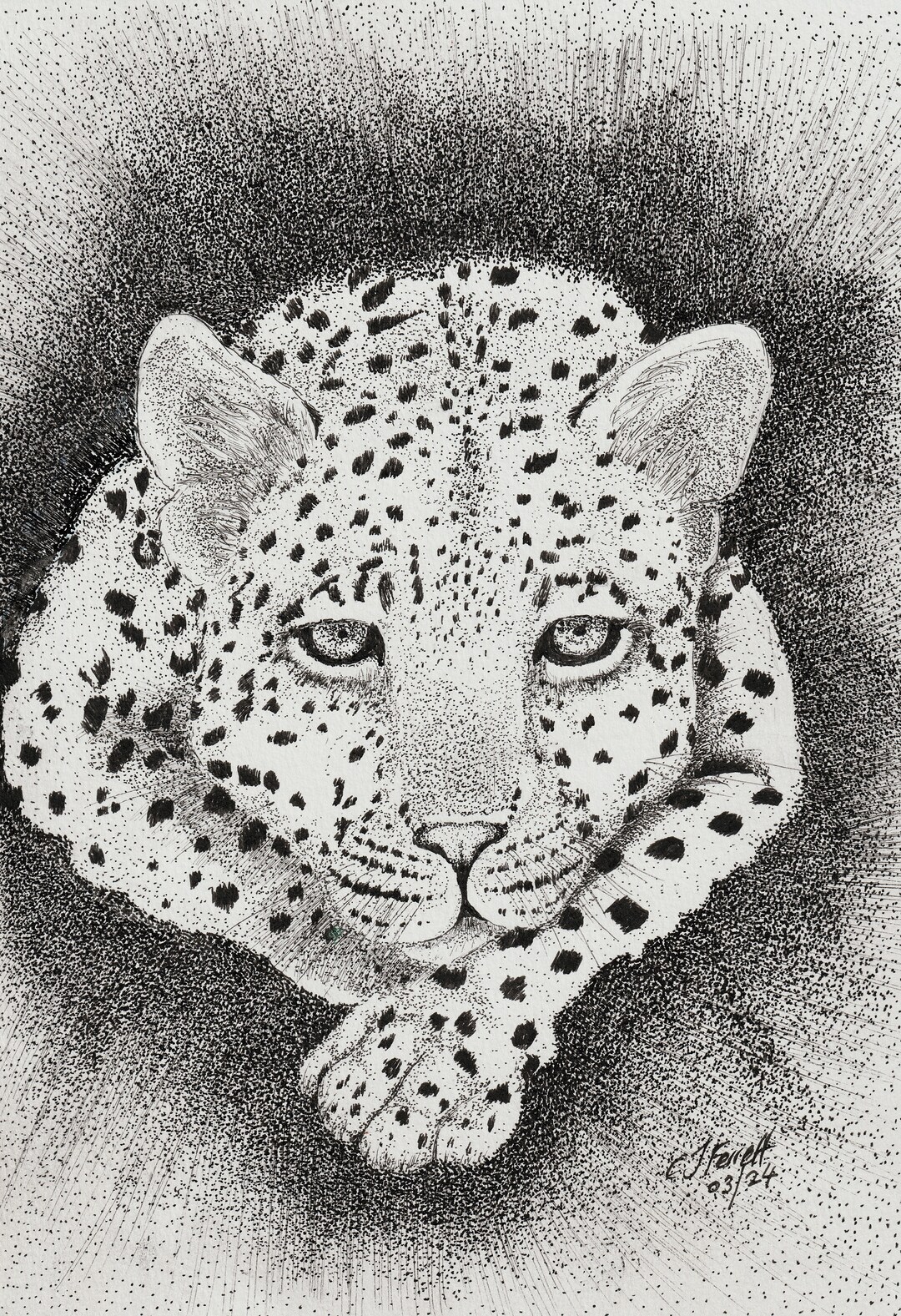 Pensive Leopard Drawing - Etsy
