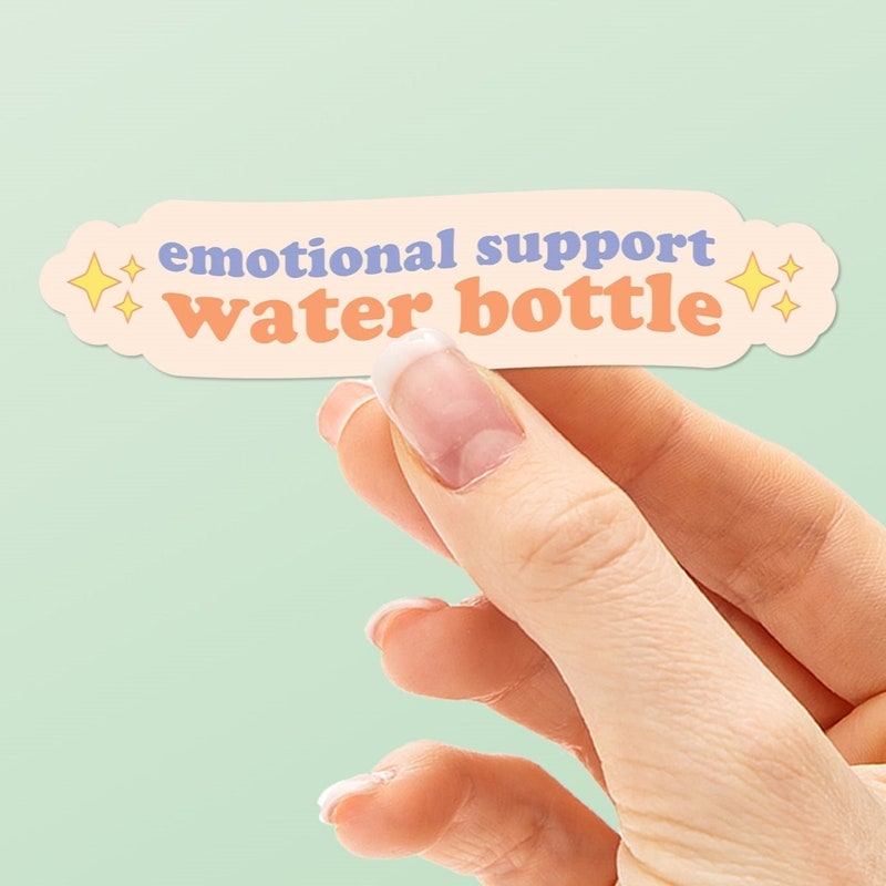 Funny Water Bottle Stickers - Etsy