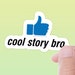 Cool Story Bro Sticker Funny Meme Stickers for Hydroflask | Etsy