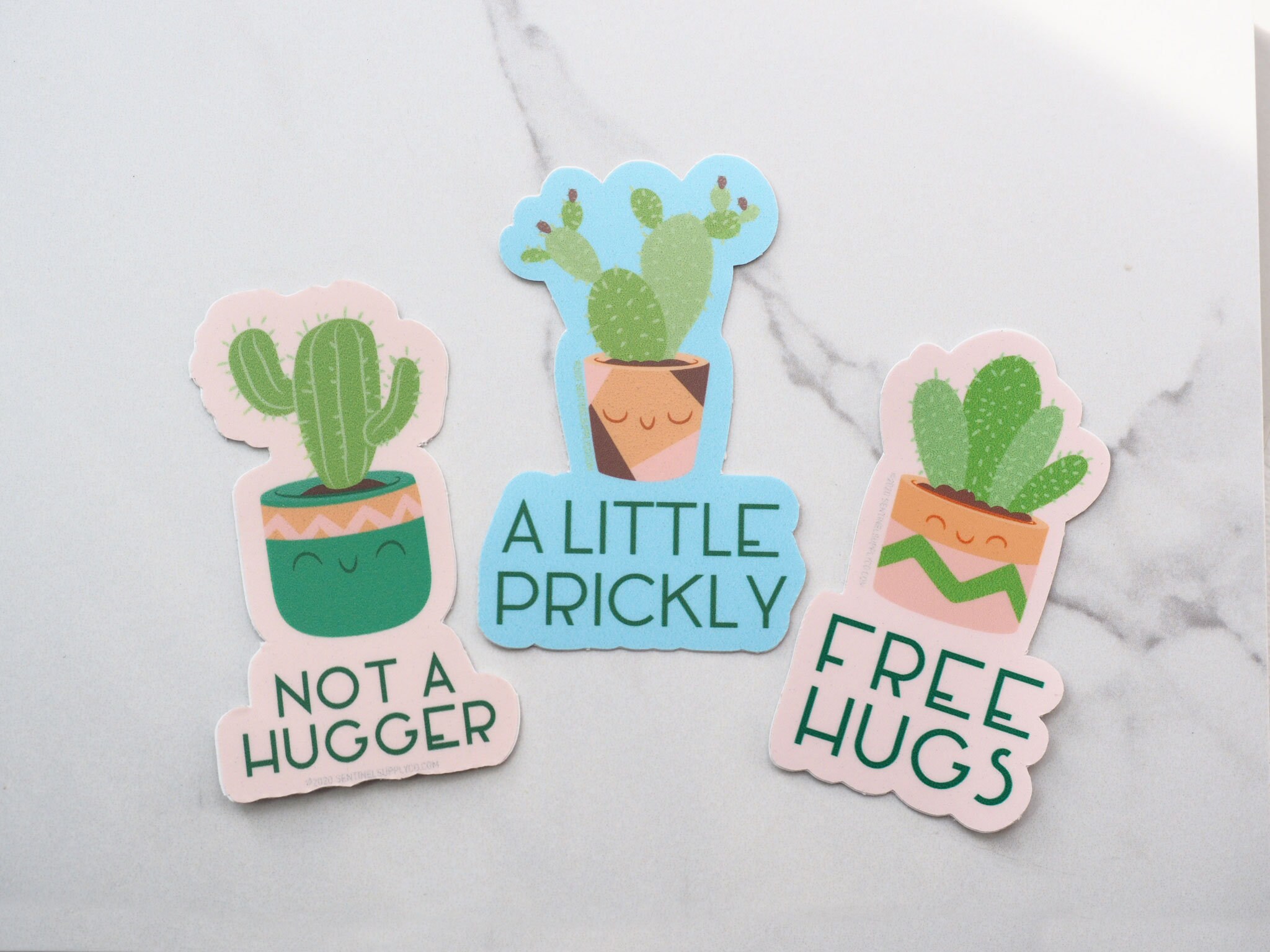 A Little Prickly Cute Cactus Sticker Funny Plant Stickers for | Etsy