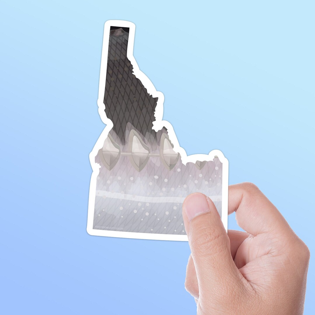 Idaho White Sturgeon Sticker | Snake River & Salmon River Fishing Decal ...