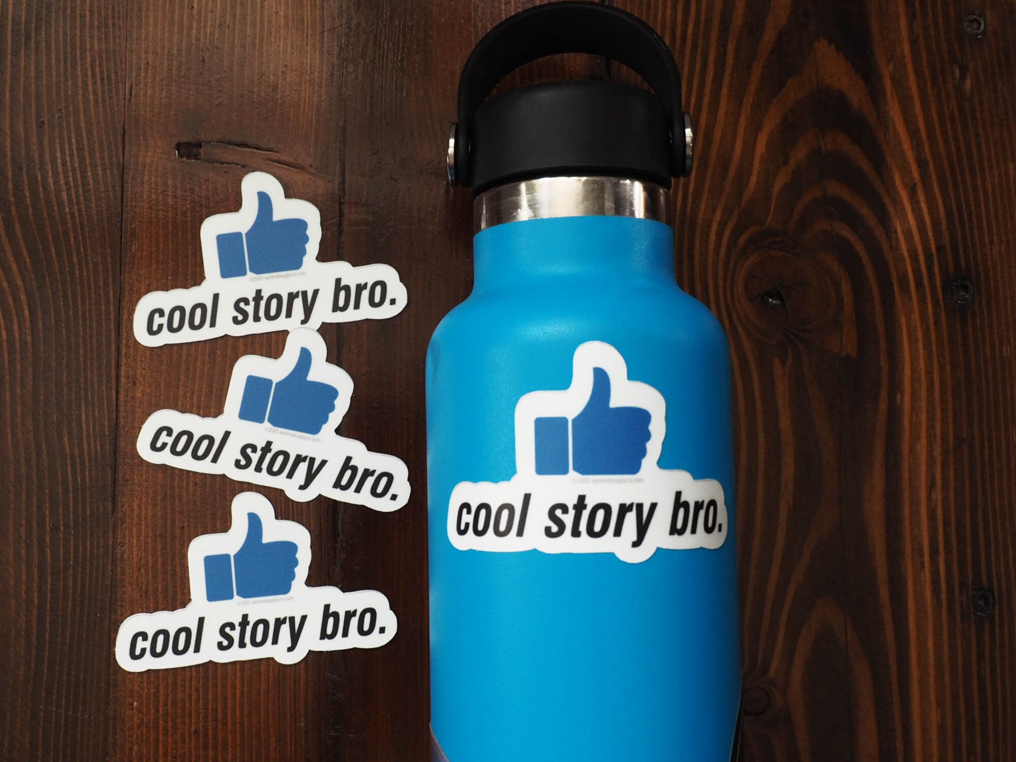 Cool Story Bro Sticker Funny Meme Stickers for Hydroflask - Etsy