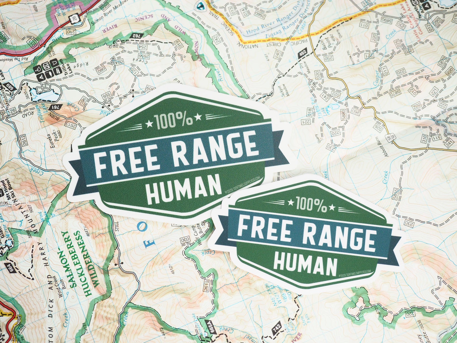 Free Range Human Sticker Vinyl Bumper Sticker for Hydroflask - Etsy