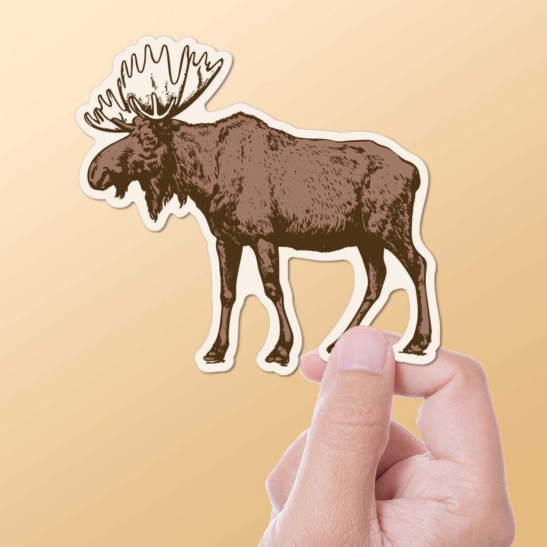 Bull Moose Bumper Sticker - Wild Animal Wilderness Sticker for ...