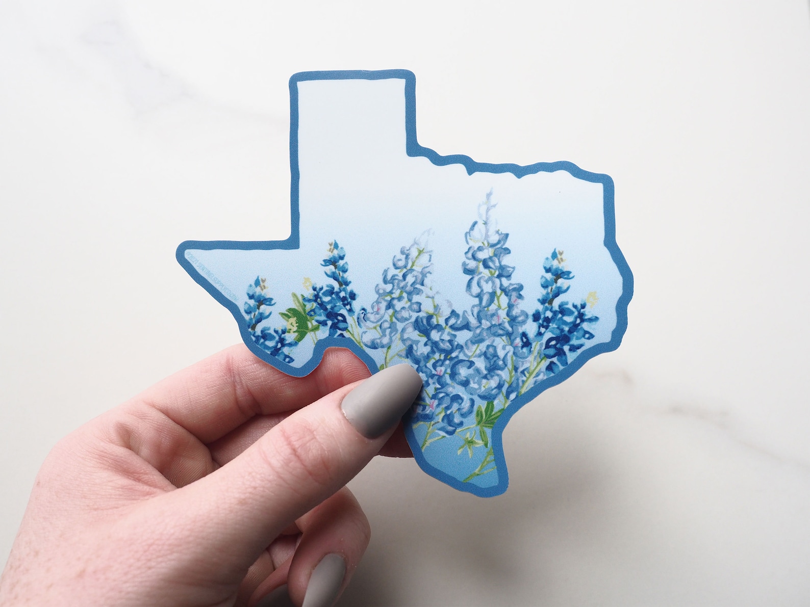 Texas Bluebonnets Sticker Bluebonnet Texas Bumper Sticker for | Etsy