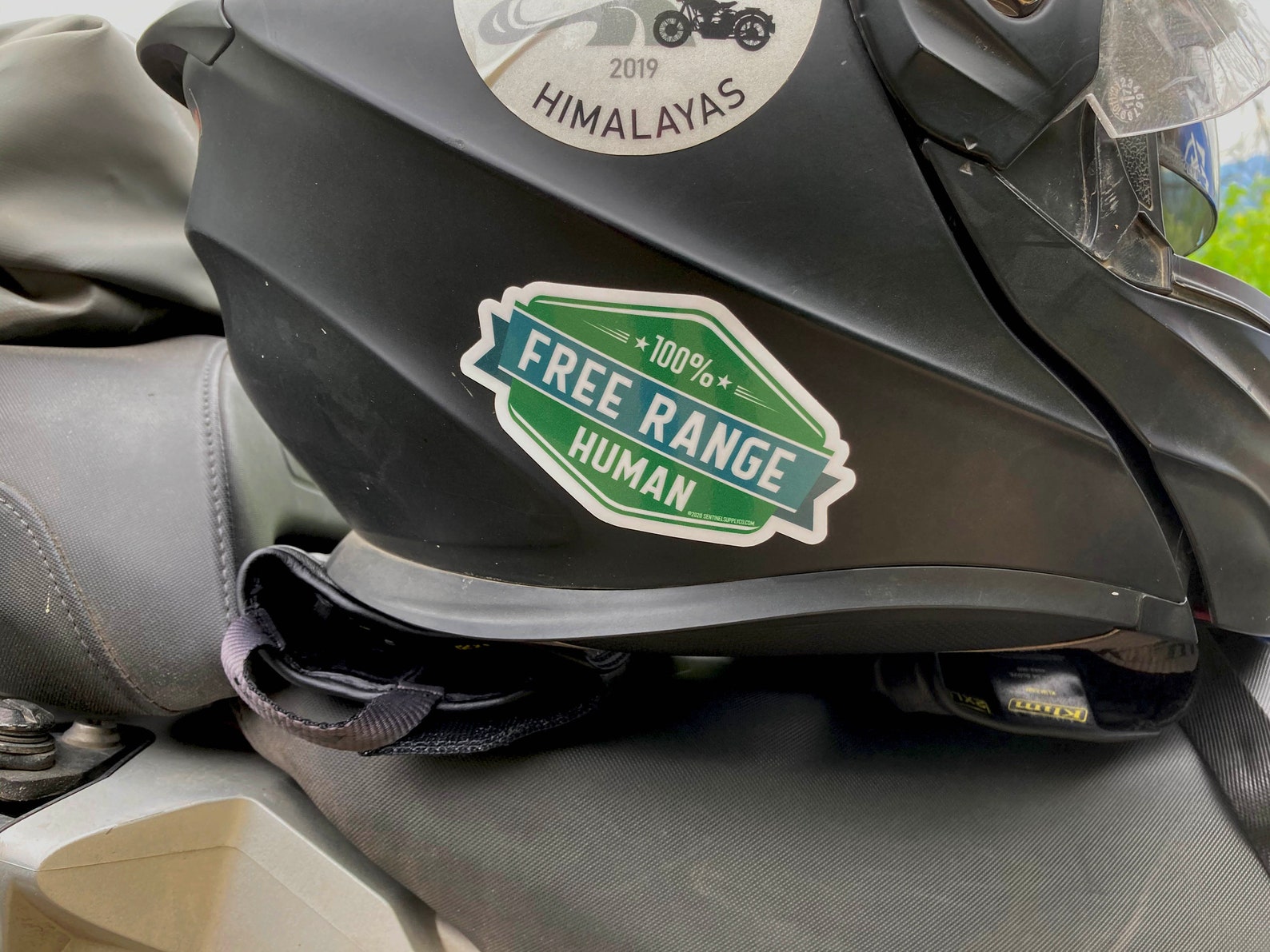 Free Range Human Sticker Vinyl Bumper Sticker for Hydroflask | Etsy