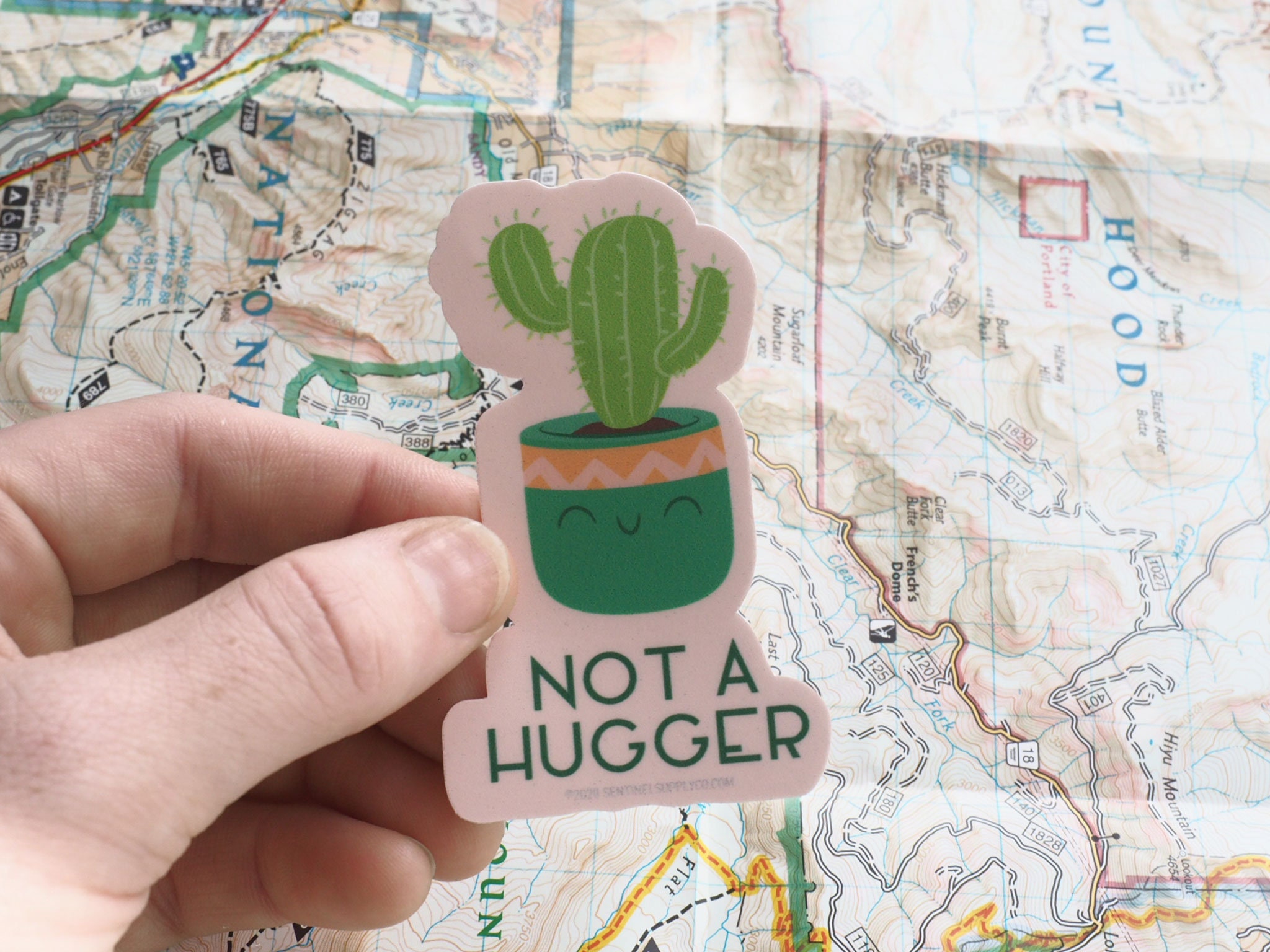 A Little Prickly Cute Cactus Sticker Funny Plant Stickers for | Etsy