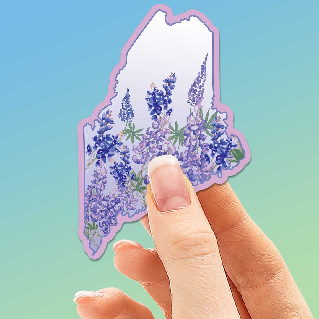Maine Lupine Sticker - Cute Maine State Outline Wildflower Sticker for ...