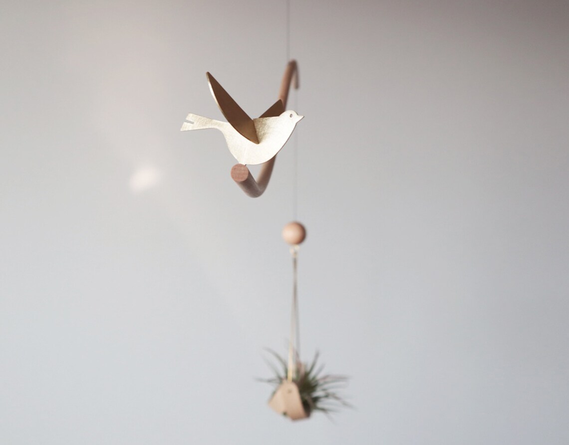 Air Plant Hanger, Kinetic Mobile, Hanging Mobile, Art for Home ...