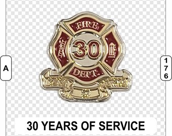 Years of Service Pin | Etsy