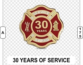 30 Year Service Pin - Etsy