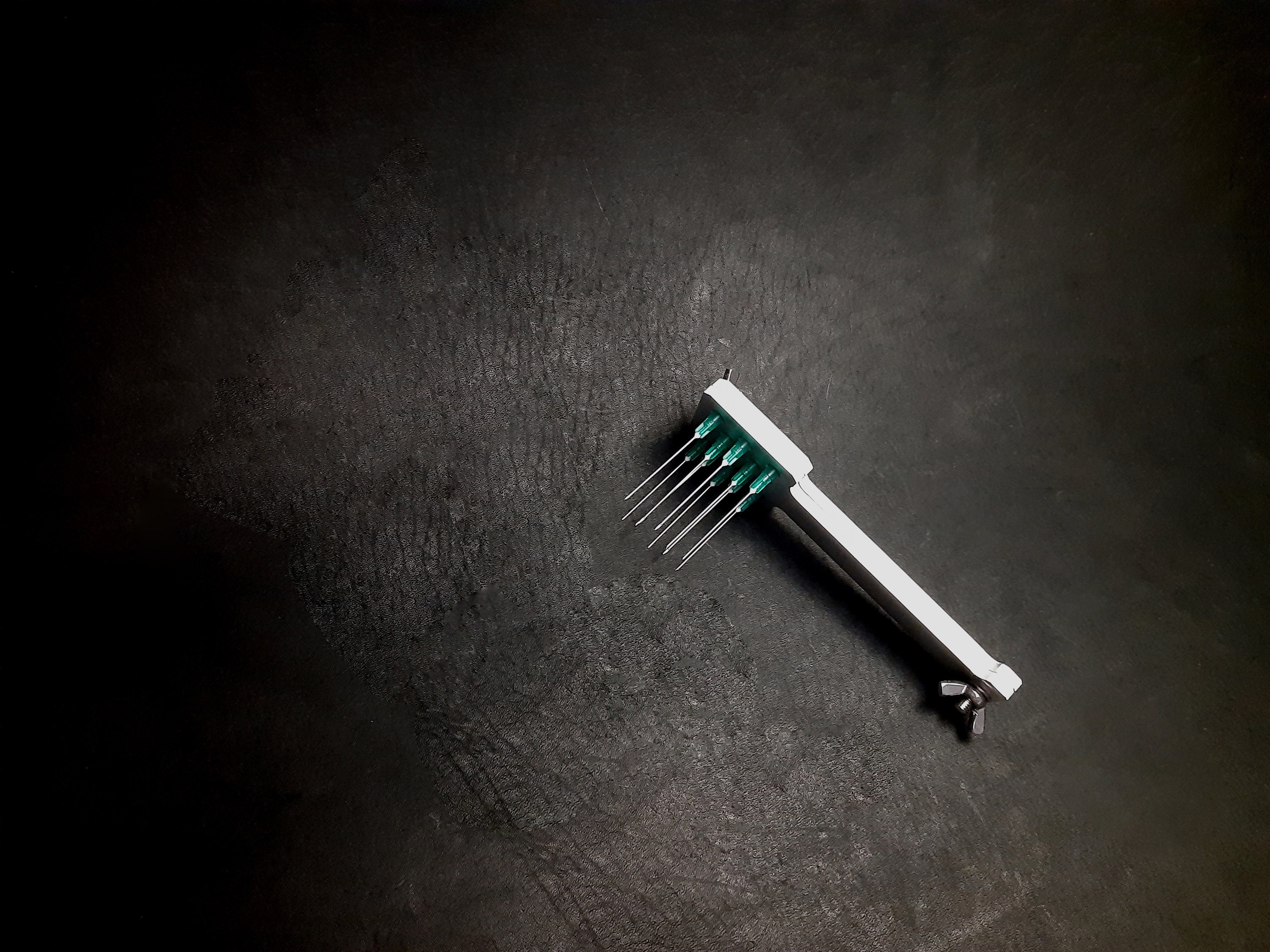 Needle Play Needle Paddle Play Piercing BDSM Extreme BDSM Hardcore ...