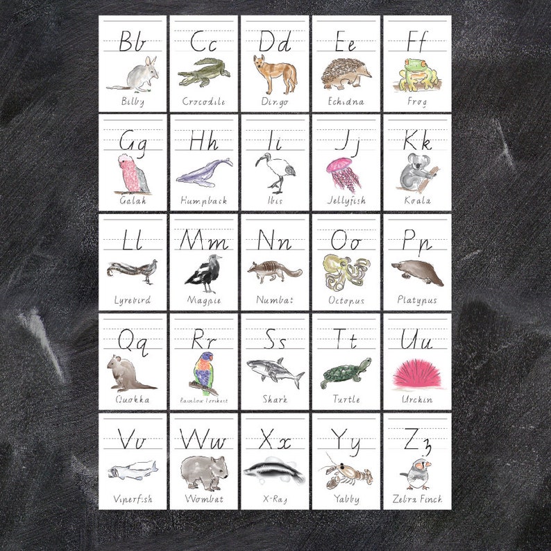Australian Animals | Digital Alphabet | Aussie Teachers Resource | ABC ...