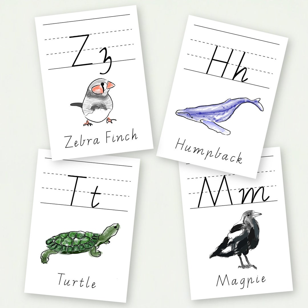 Australian Animals | Digital Alphabet | Aussie Teachers Resource | ABC ...
