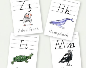ABC Alphabet Flashcards Learning Letter Native Australian Animals Play ...