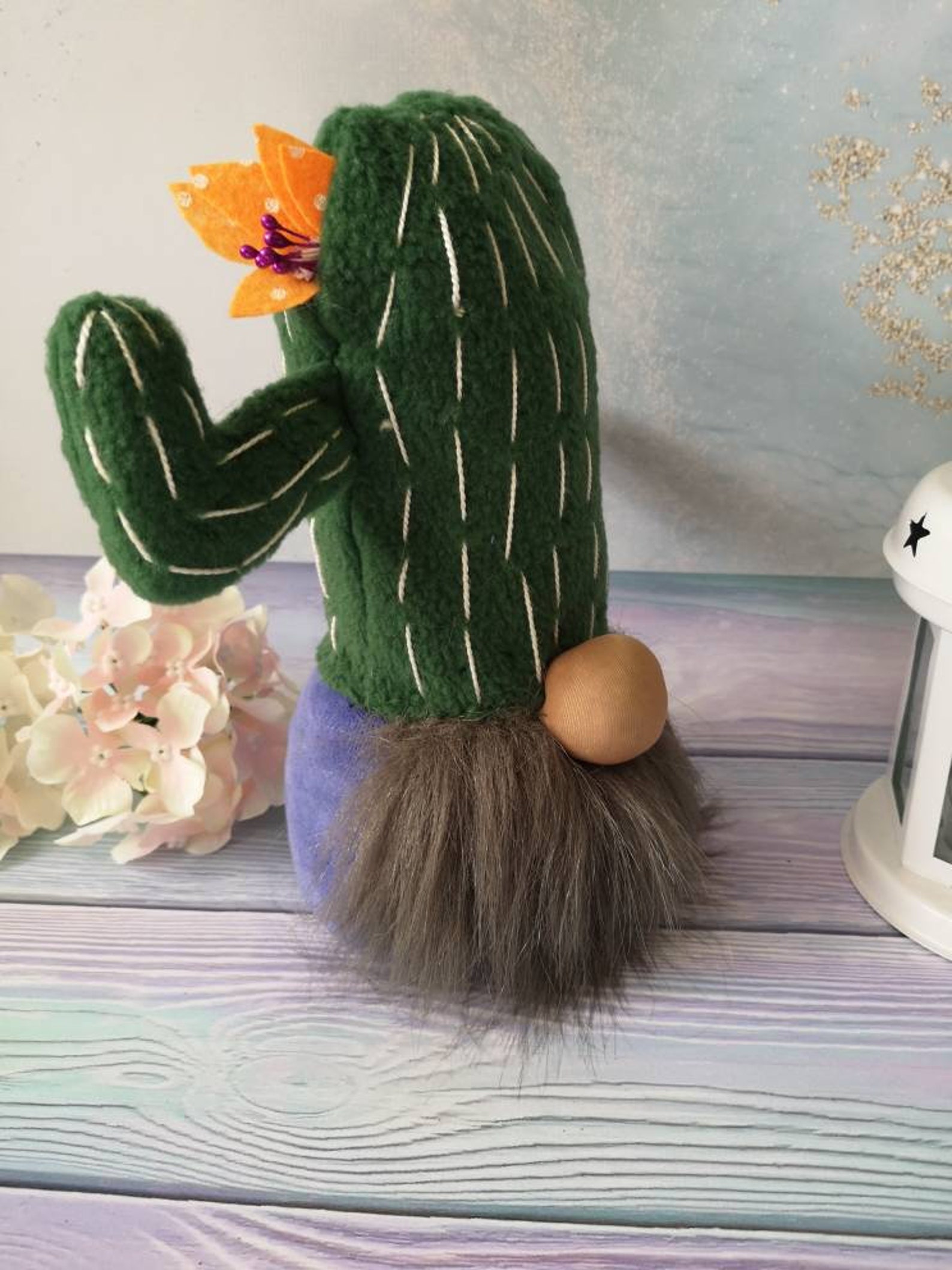 Gnome Cactus Succulent - Etsy