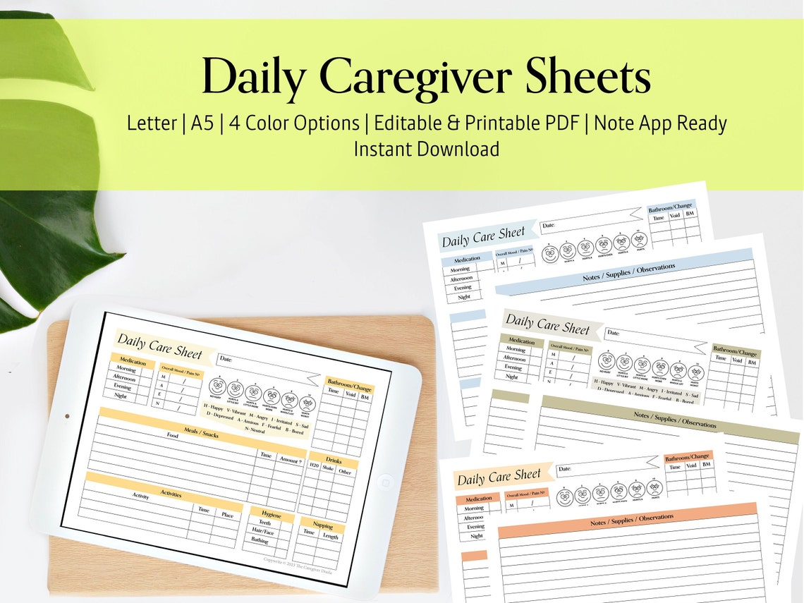 Detailed Daily Printable Care Sheet, Caregiver Sheets, Caregiver Binder ...