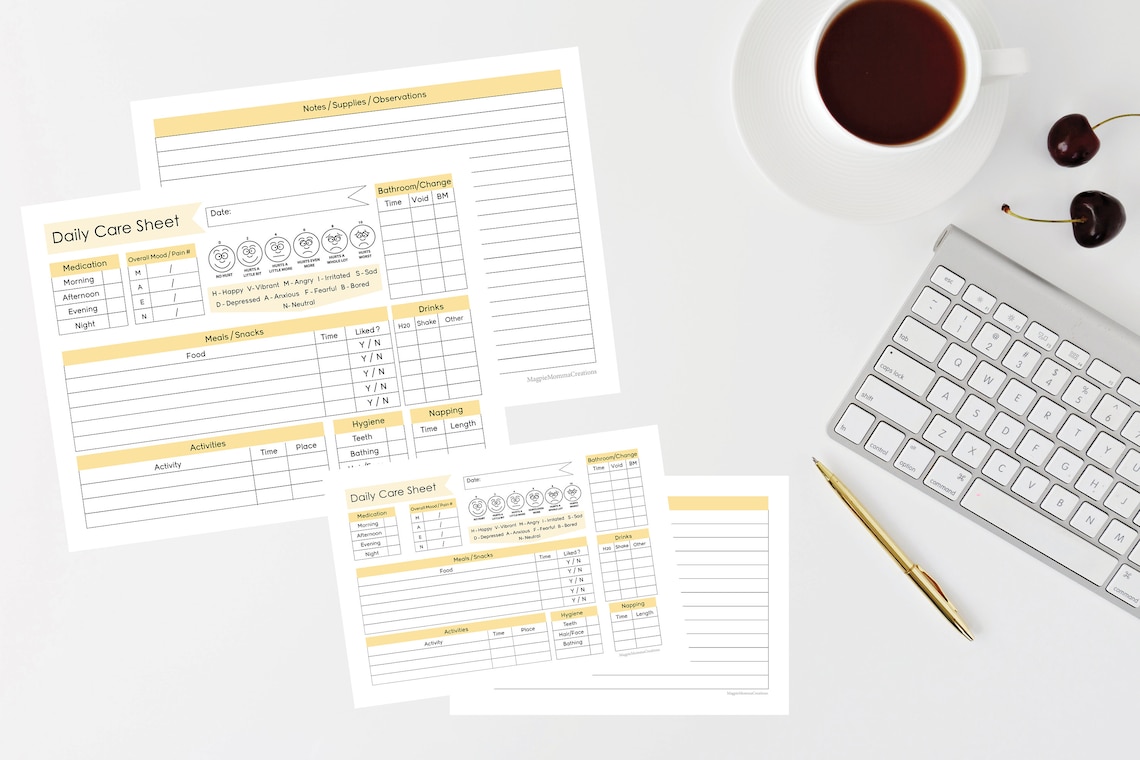 Detailed Daily Printable Care Sheet Respite Planner - Etsy