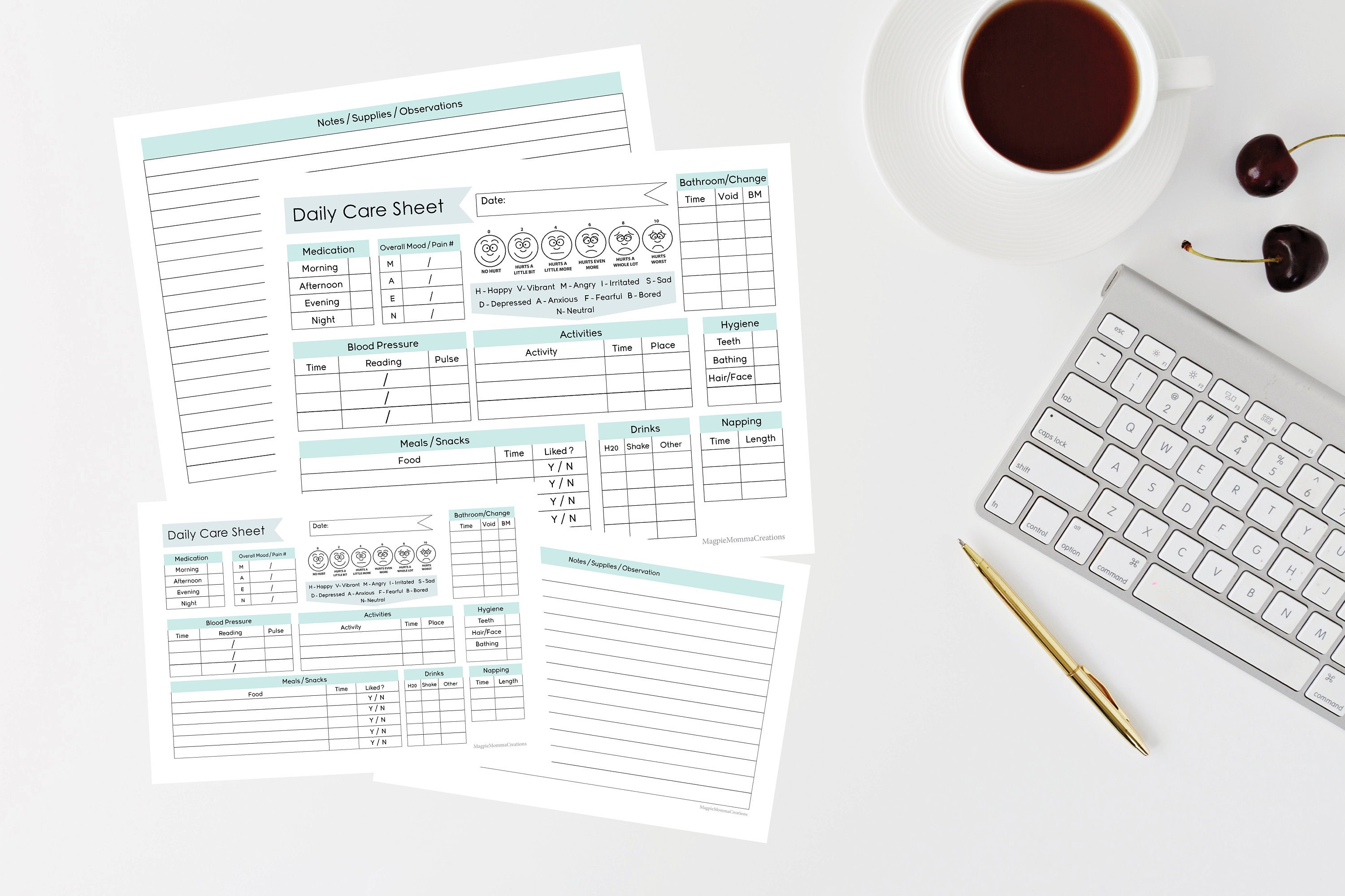 Detailed Daily Printable Blood Pressure Care Sheet, Respite Planner ...