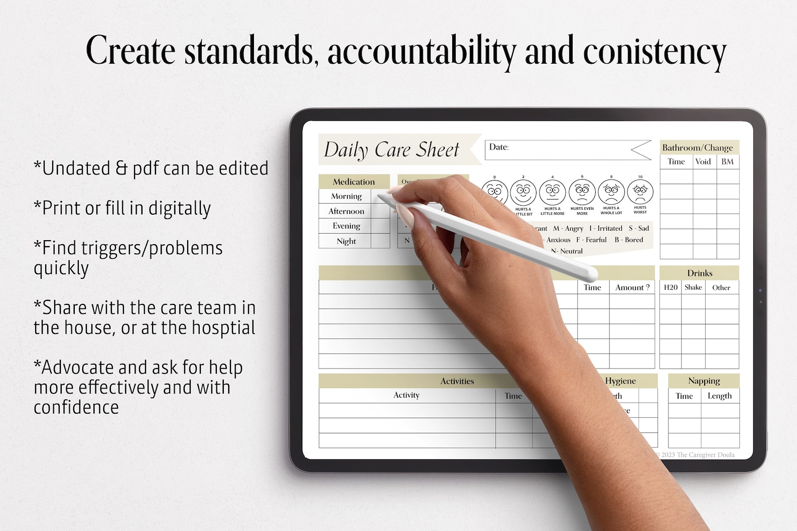 Detailed Daily Printable Care Sheet, Caregiver Sheets, Caregiver Binder ...