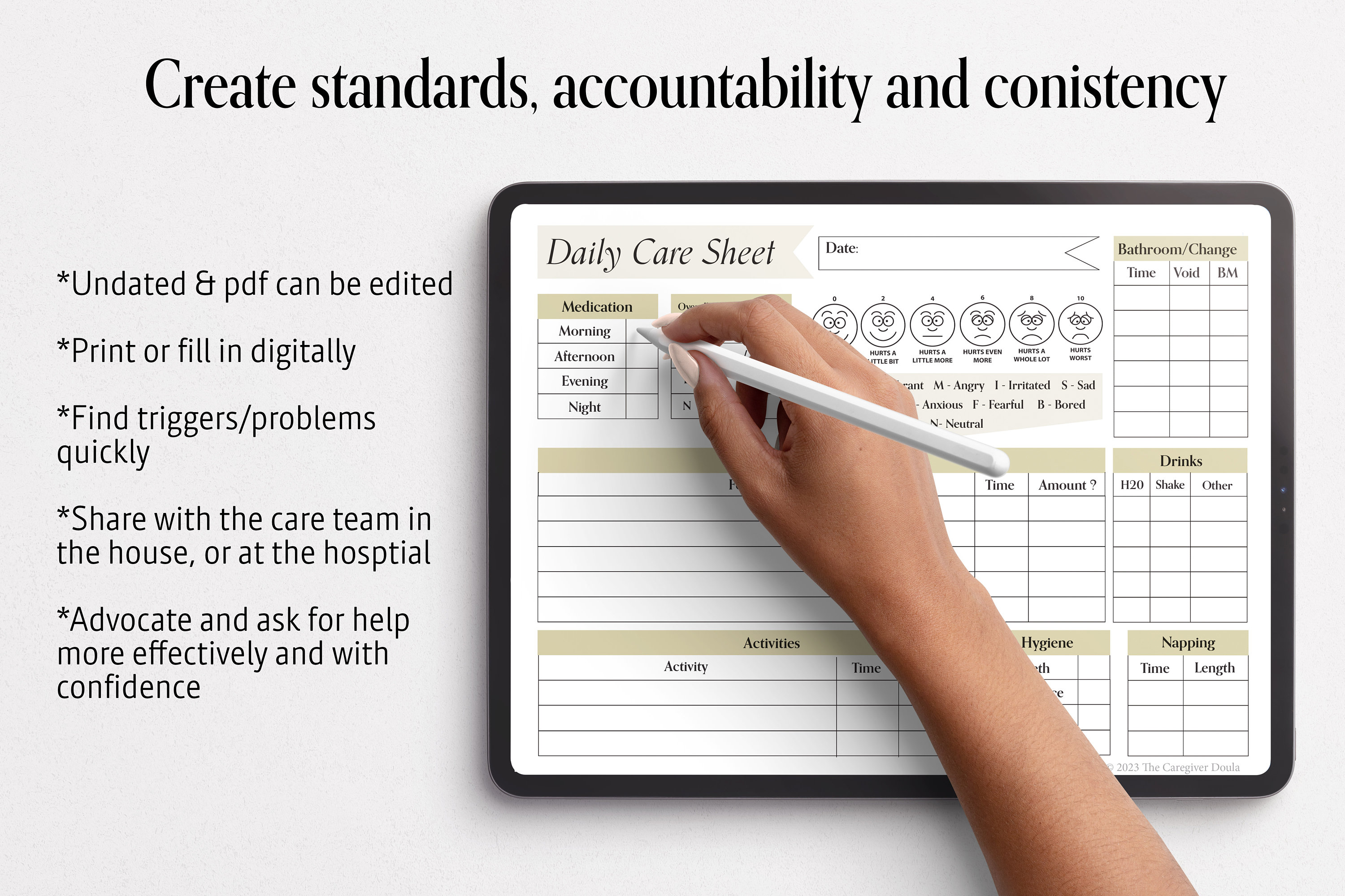 Detailed Daily Printable Care Sheet, Caregiver Sheets, Caregiver Binder ...