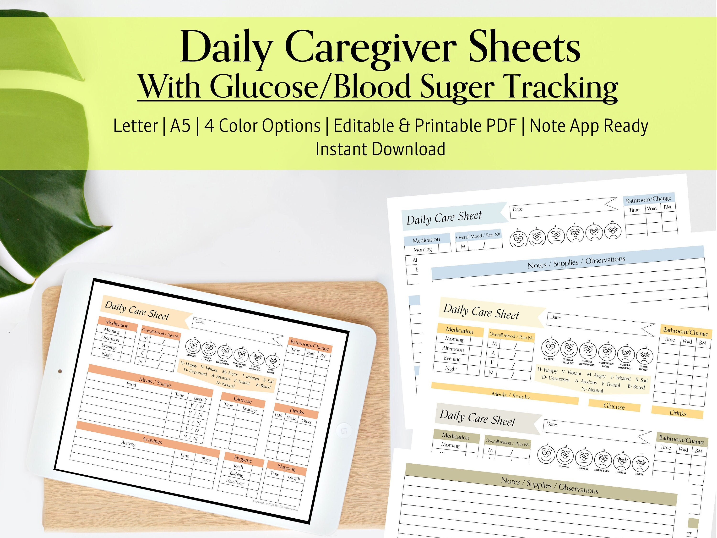 Detailed Printable Glucose Tracker Care Sheet, Caregiver Notes, Respite ...
