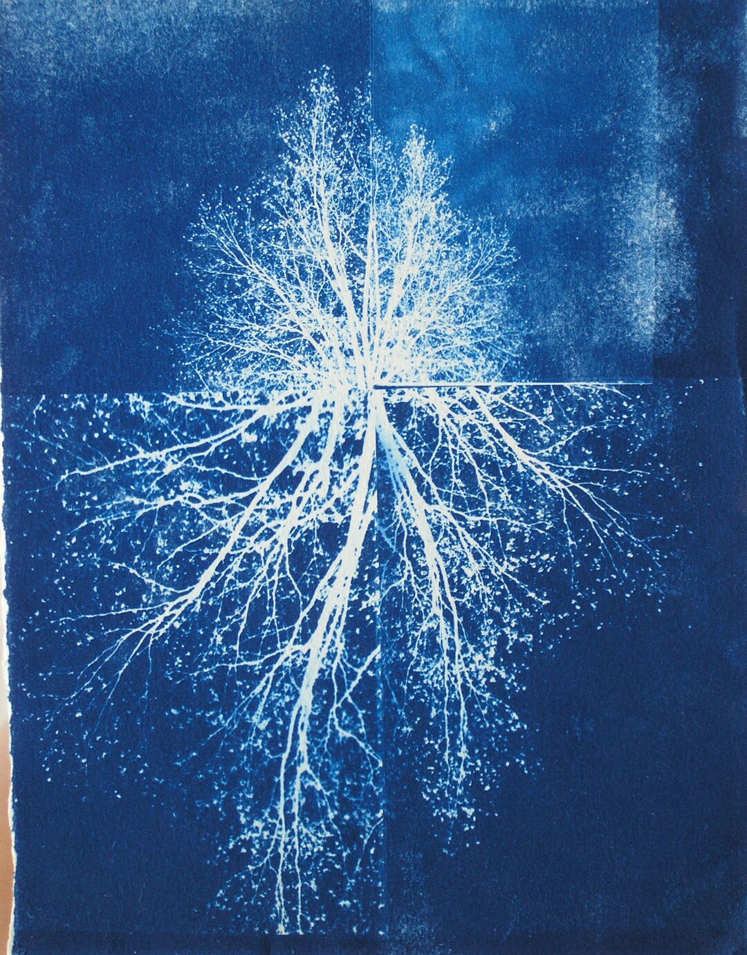 Original Art Photo Blue Negative Tree on Watercolor..".may Your Walls ...