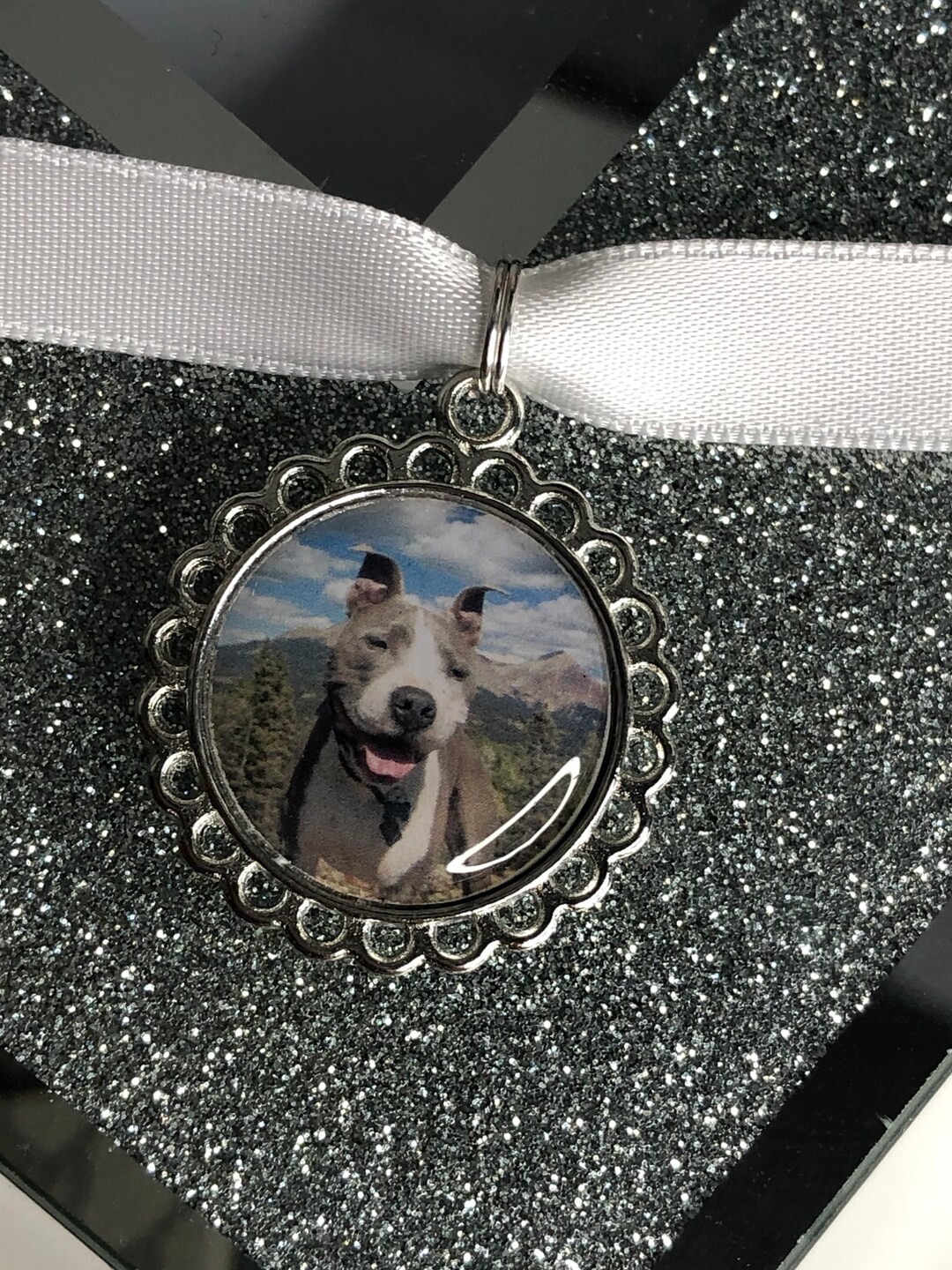 Pet Photo Memory Memorial Remembrance Pendant Charm/keepsake/jewellery ...