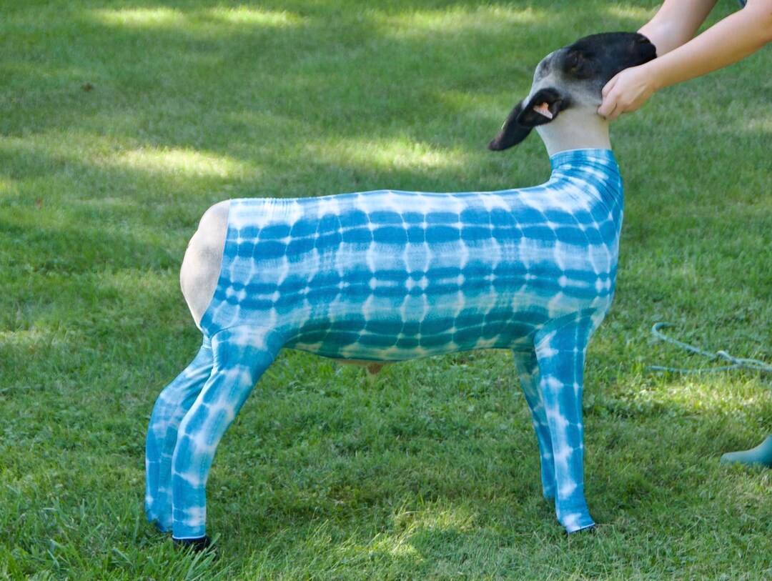 Custom Lamb Body Tubes solid Colors - Etsy