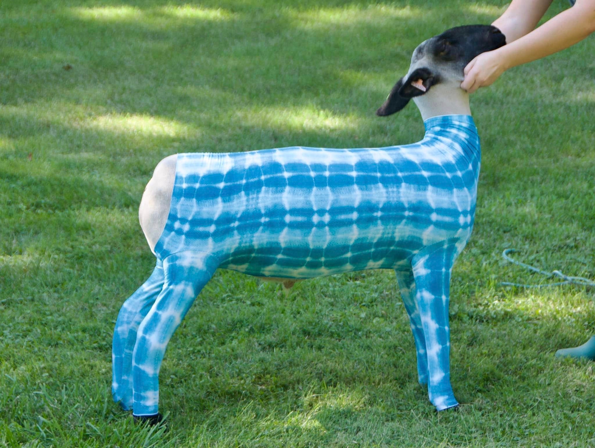 Custom Lamb Body Tubes (solid Colors) - Etsy