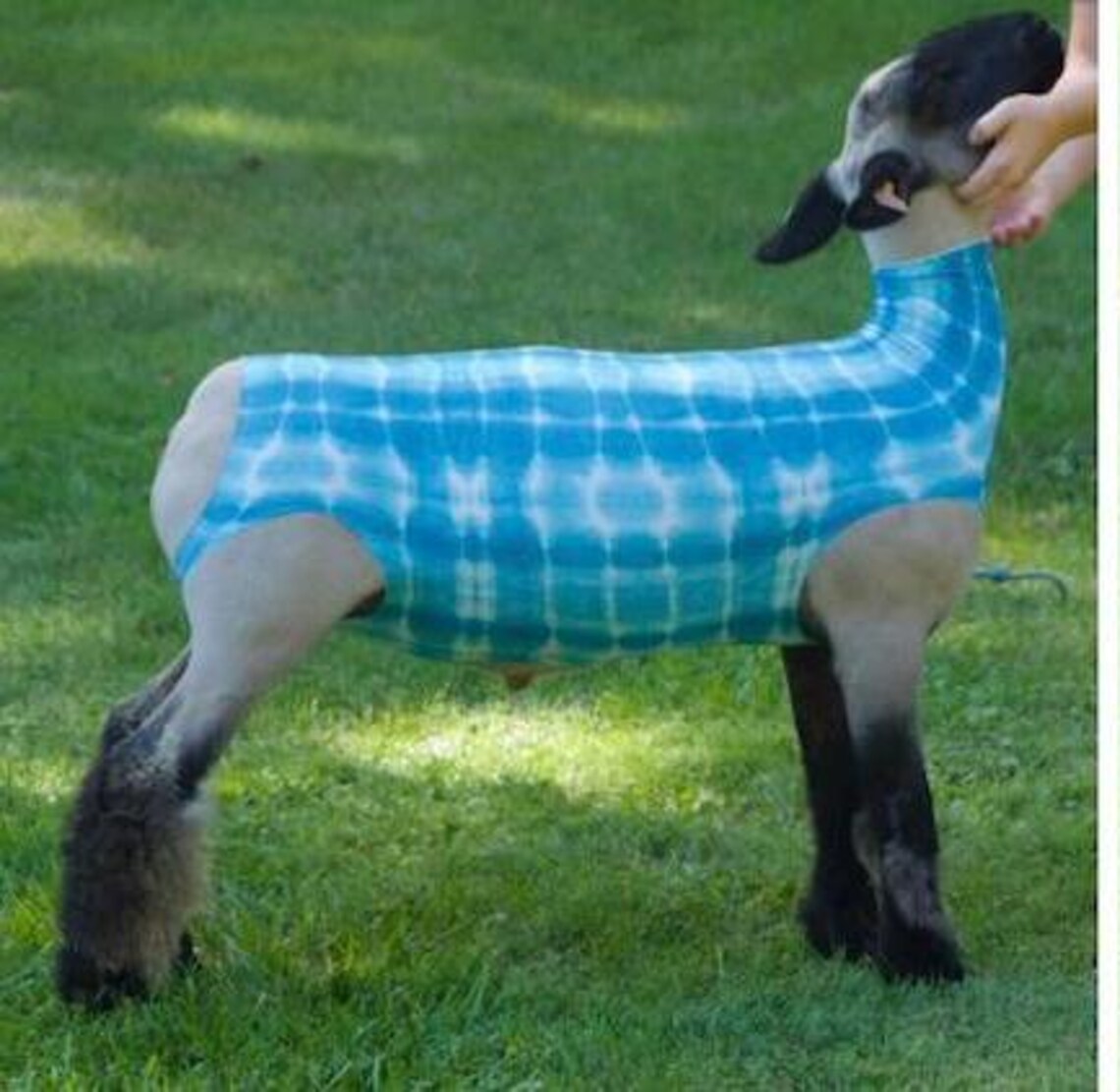 Custom Logo Lamb Tube - Etsy