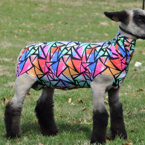 Custom Lamb Body Tubes solid Colors - Etsy