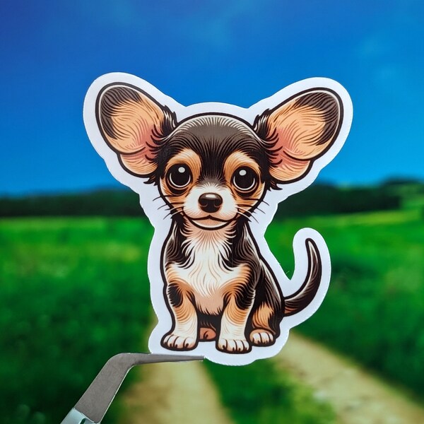Chiweenie Decal - Etsy