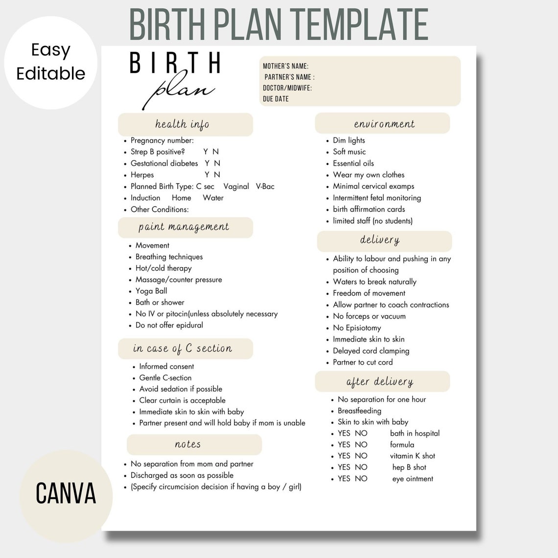 VISUAL BIRTH PLAN, Editable & Printable Natural Birth Preference Canva ...